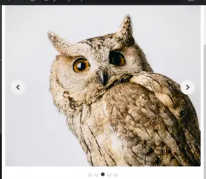 Angular ngx-image-swiper Example to Build Image Swiper Animation With Controls in Browser Using ...